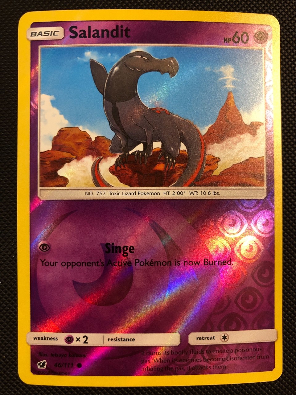 Holo Bleed- What Is It, Does It Affect Grading? (with Examples ...