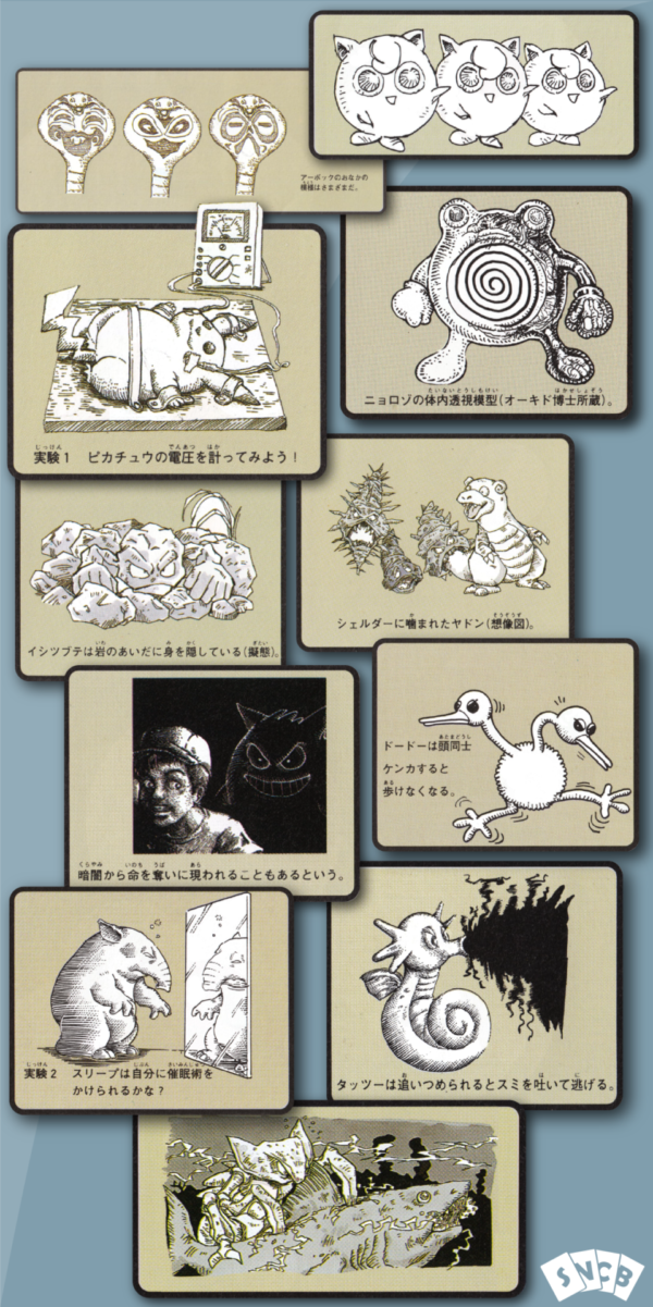 Bandai Carddass Pokémon Cards (Detailed Collectors Guide) - Sleeve No ...
